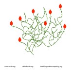 Algorithmic Doodle Art | Teaching London Computing: A RESOURCE HUB from ...